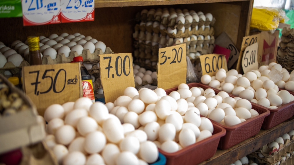 USDA unveils $1 billion plan to combat avian influenza and stabilize egg prices - FaRM Success